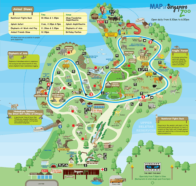 Singapore Zoo Map Singapore Zoo 80