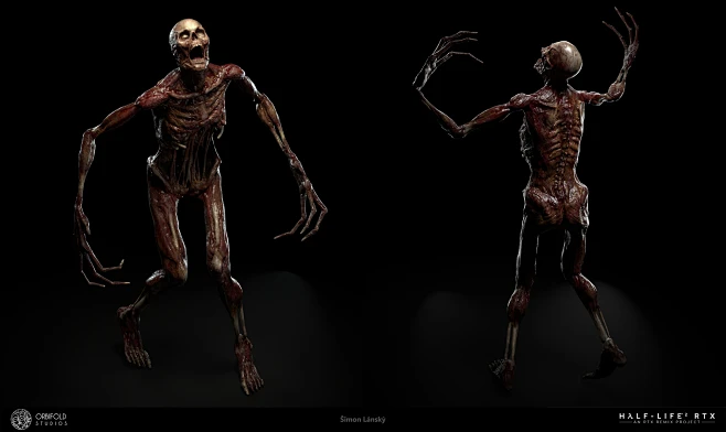 Half Life 2 RTX Fast Zombie-花瓣网