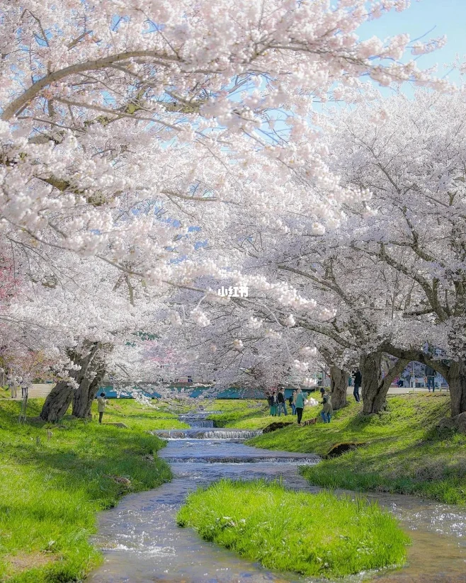 src=http___ci-花瓣网