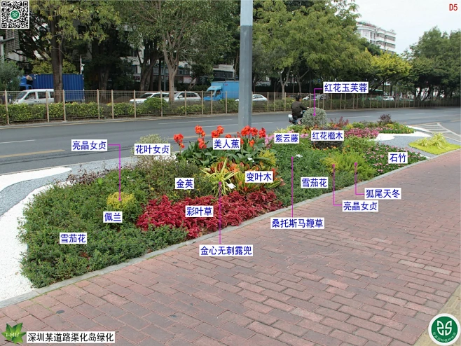 交通岛、道路、花境：深圳道路渠化岛绿化(2022年1月)-花瓣网