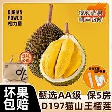 榴力量马来西亚猫山王榴莲果肉D197冷冻盒装带核纯鲜果肉顺丰包邮-tmall.com天猫-花瓣网