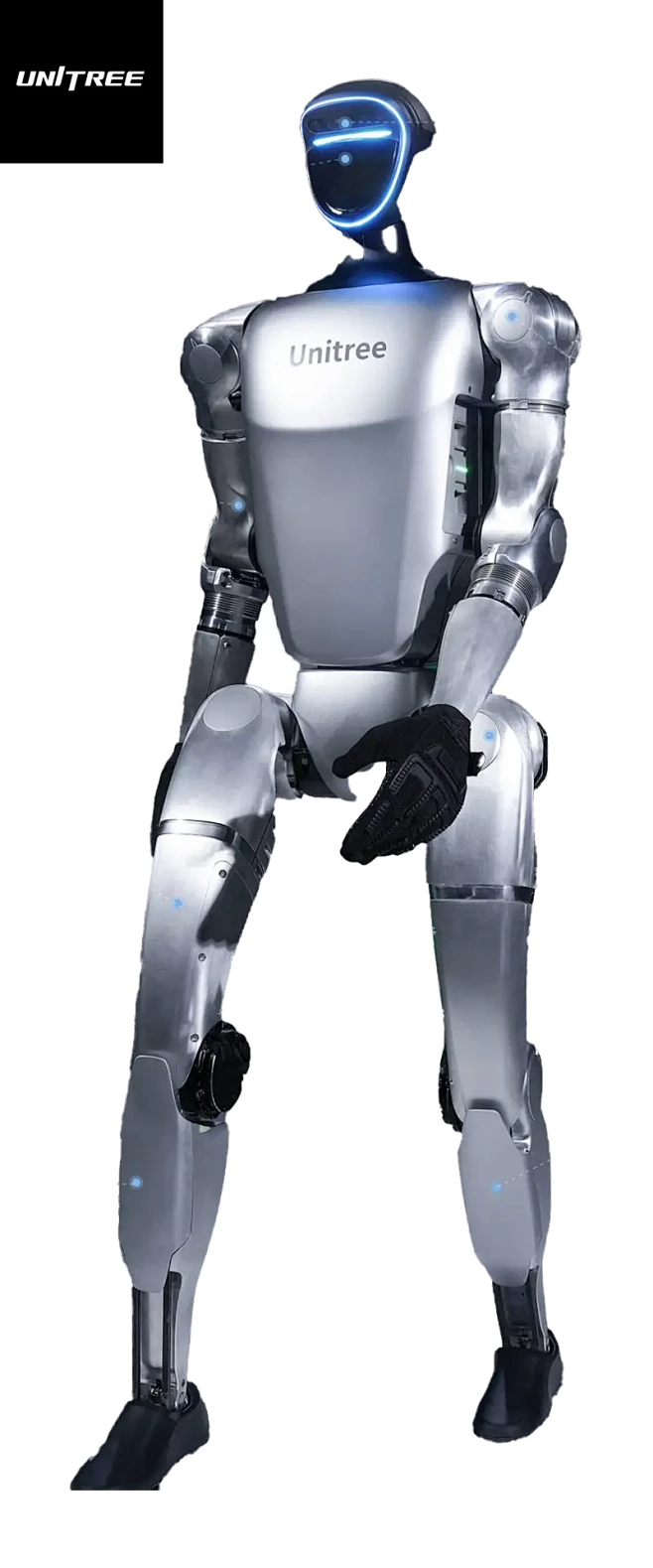 Phoenix - Humanoid.guide-花瓣网