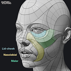 head-花瓣网|陪你做生活的设计师 | head base