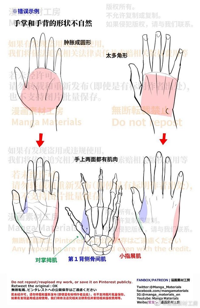个人笔记：手掌与手背更多关于的#绘画参考#⬇️手的基本·骨骼和肌肉的解说网页链接手的手掌·手背的可动：基本解说网页链接#漫画素材工房##漫画 ...