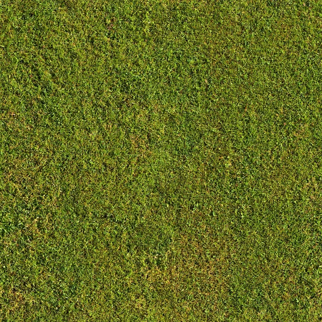 花瓣灵感详情页-花瓣网