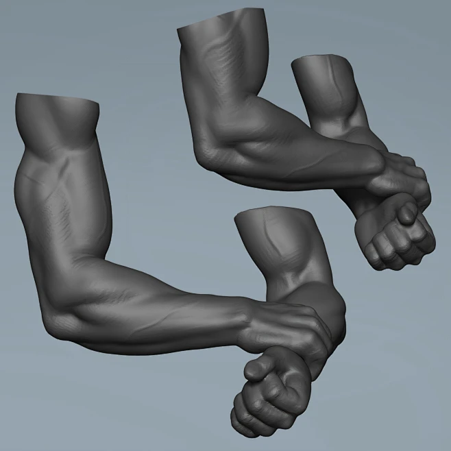 Male Arm sculpts-花瓣网