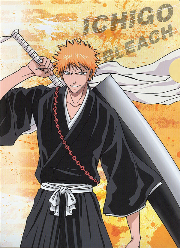 死神BLEACH (19)