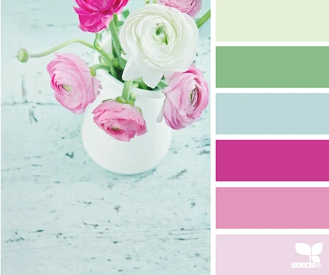 ranunculus hues-花瓣网