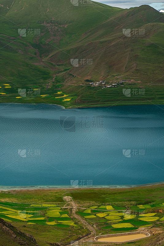 西藏的羊卓木措湖