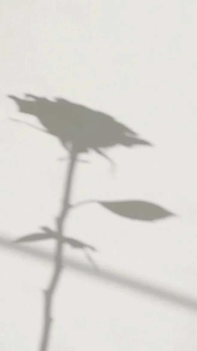 (2) Pinterest图片_装饰元素图片素材-花瓣网