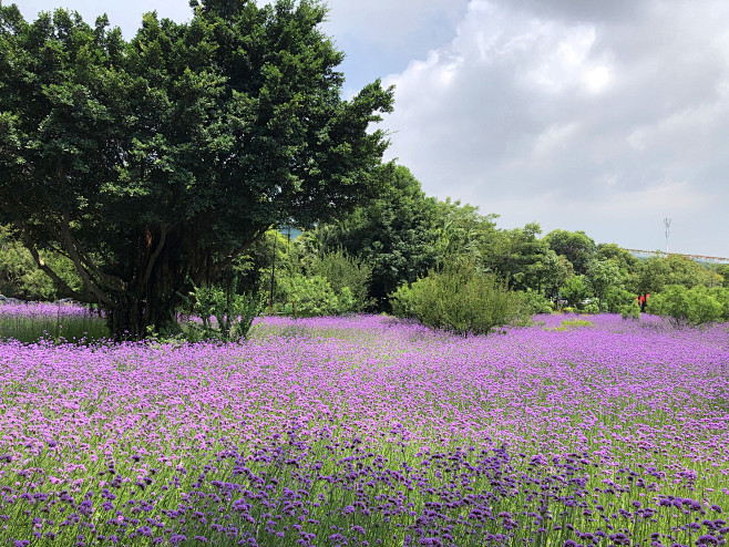 src=http_%2F%2Fupload-images.jianshu.io%2Fupload_images%2F17548838-29fe2df7e5bba24b.jpg&refer ...