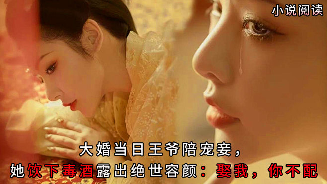 女-古言-大图-无-26LSQ-1107 (6)