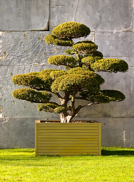 “enea baummuseum”的图片搜索结果-花瓣网