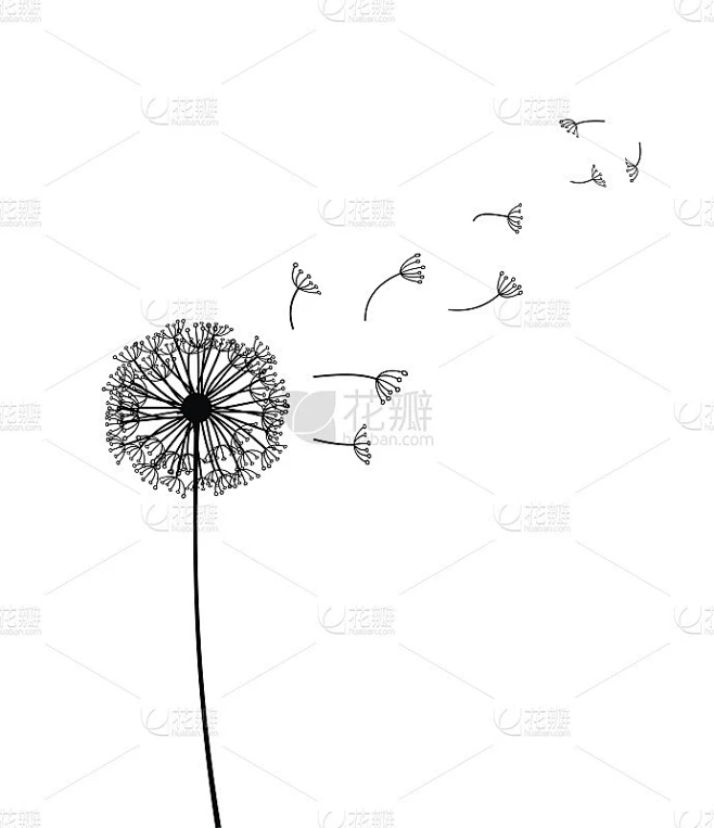 蒲公英矢量图素材-花瓣网