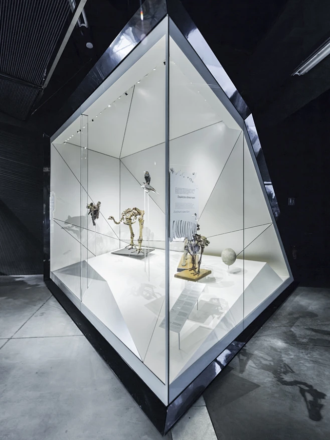 Visitors and prehistoric creatures meet face to face at a French museum ...