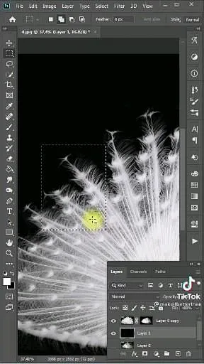 cut out difficult objects-花瓣网