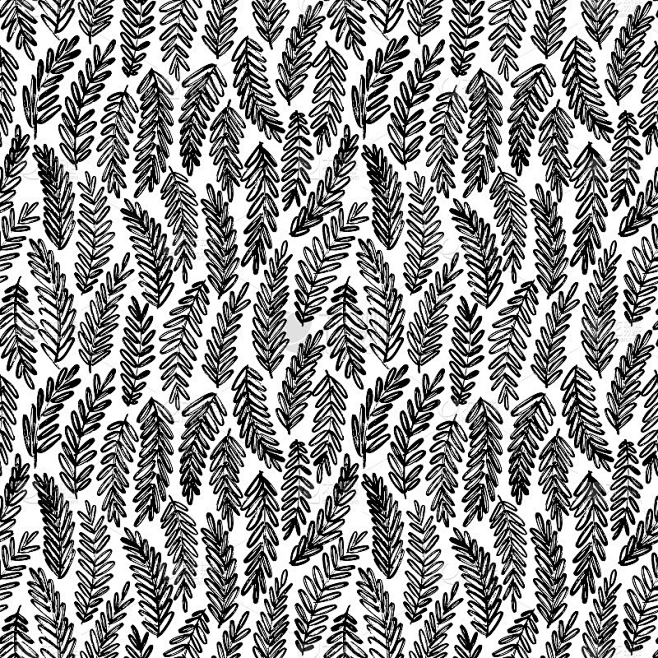Acacia leaves hand drawn seamless pattern. Vector 图片_其他图片图片素材-花瓣网