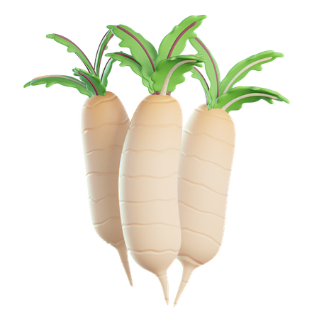 Radish 3D Illustration