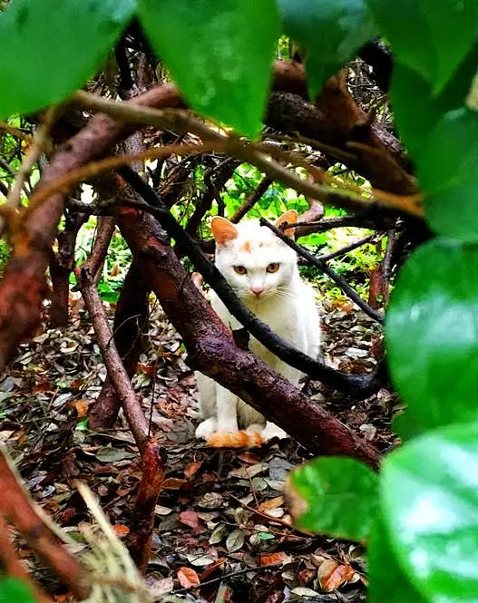 点击查看源网页-花瓣网