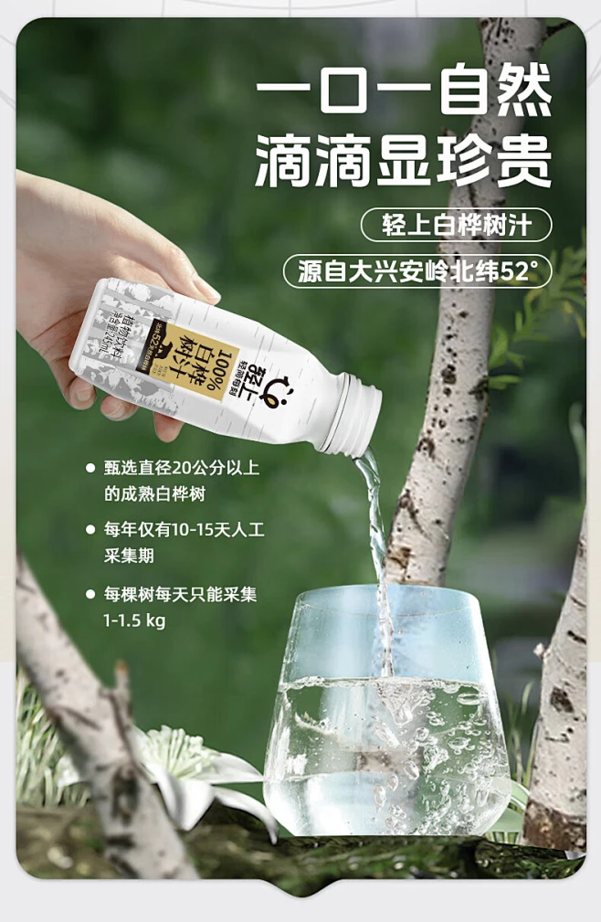 【轻上100%白桦树汁245ml*10瓶】轻上100%白桦树汁大兴安岭0卡0脂肪饮料245ml*10瓶【行情 报价 价格 评测】-京东-花瓣网