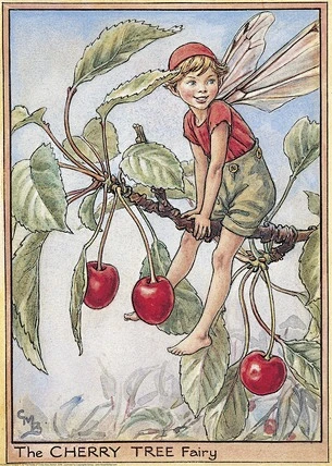 Cherry Tree Fairy-花瓣网