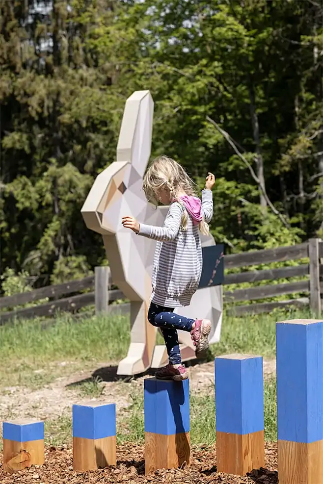 mooool Massner Architects FUNIMAL FOREST22-花瓣网