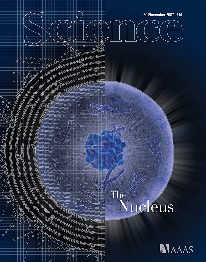 Contents | Science 318, 5855图片_science封面图片素材-花瓣网