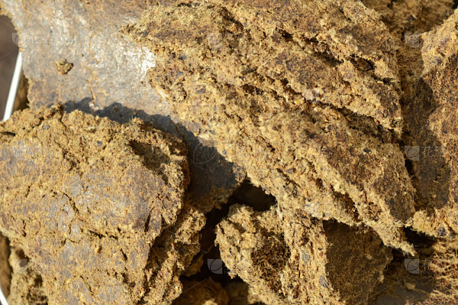 Kapsiya khod 顶视图