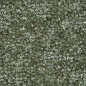 C2_Ground_Forest.(Texture)