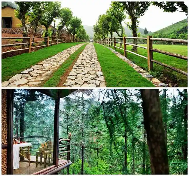 点击查看源网页-花瓣网