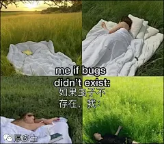 meme（梗图）图片大全-meme（梗图）高清好看的图片--花瓣超级无敌窝窝头的画板