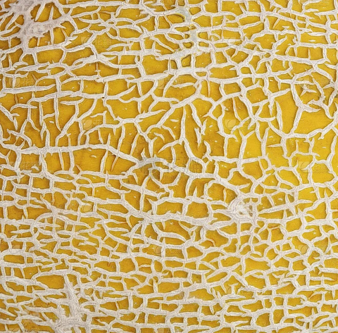 近瓜皮在完整的框架格式素材-花瓣网