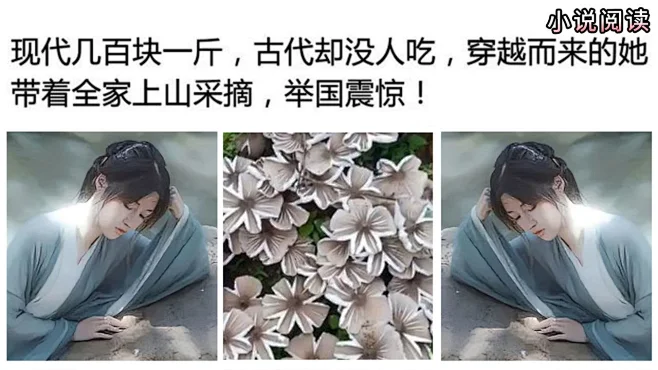 女-古言-大图-无-26LSQ-1206 (2)-花瓣网