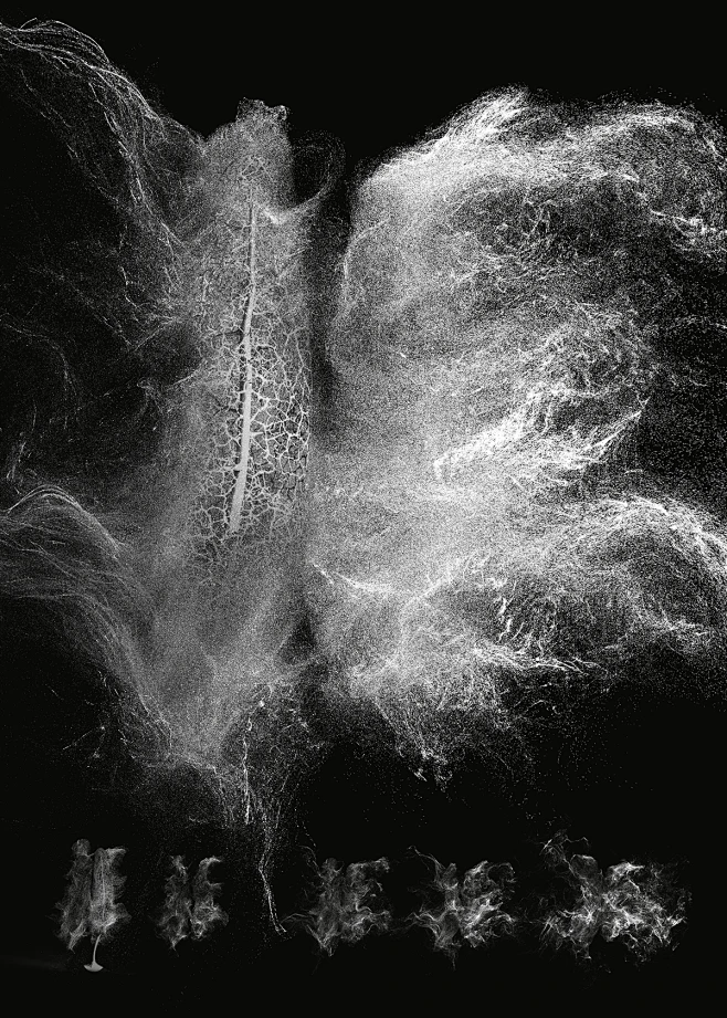 A virtual Cultivation : „Not only are the processes that bring things ...