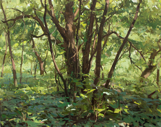 tomas-honz-dsc-0001web-6