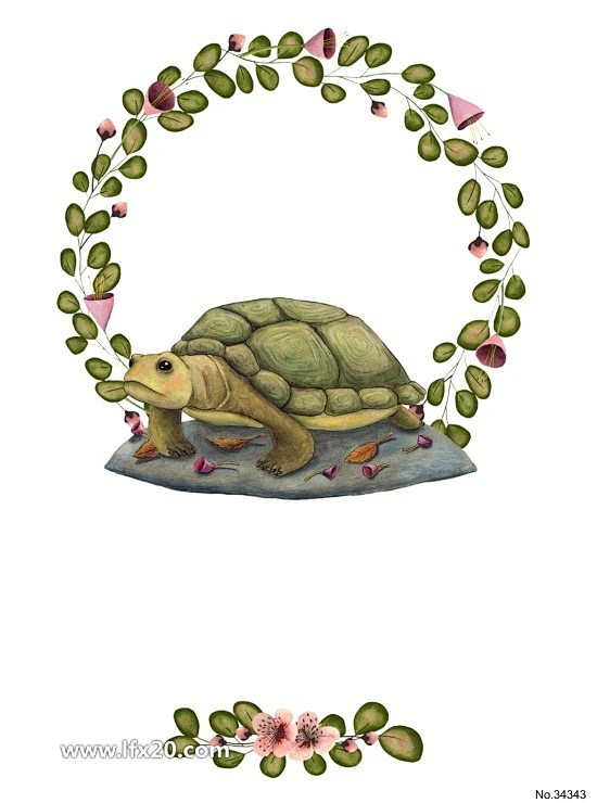 动物插画-花瓣网