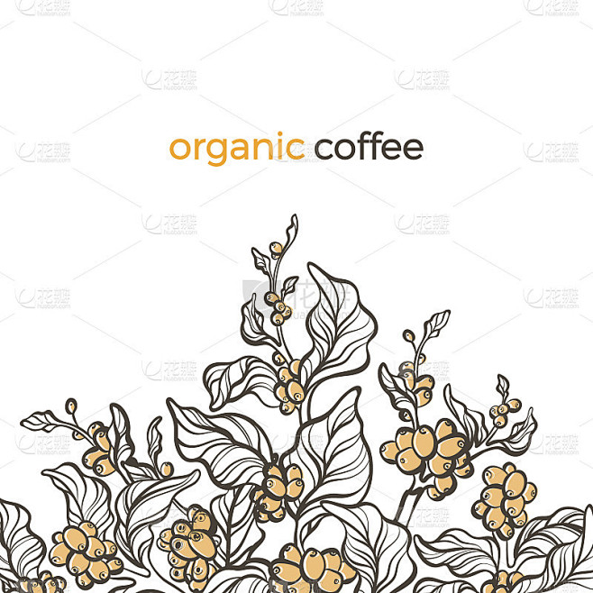 模板的黑色树枝的咖啡树与树叶和咖啡豆。矢量图