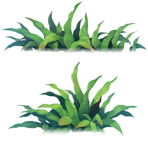 lwfield_watergrass_01