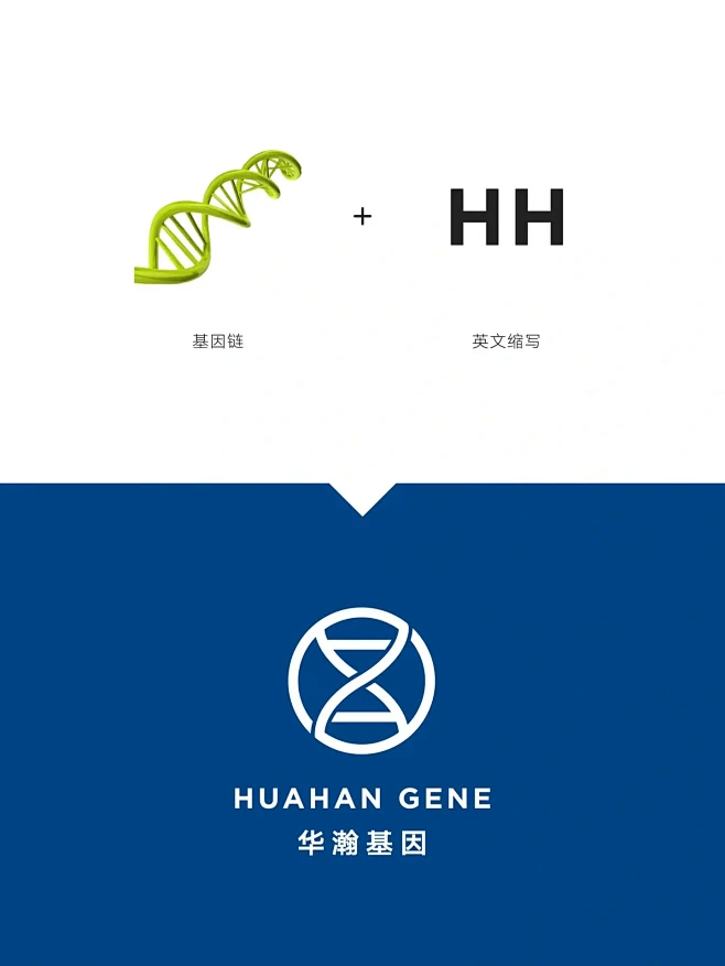 基因logo这么设计，客户很满意！