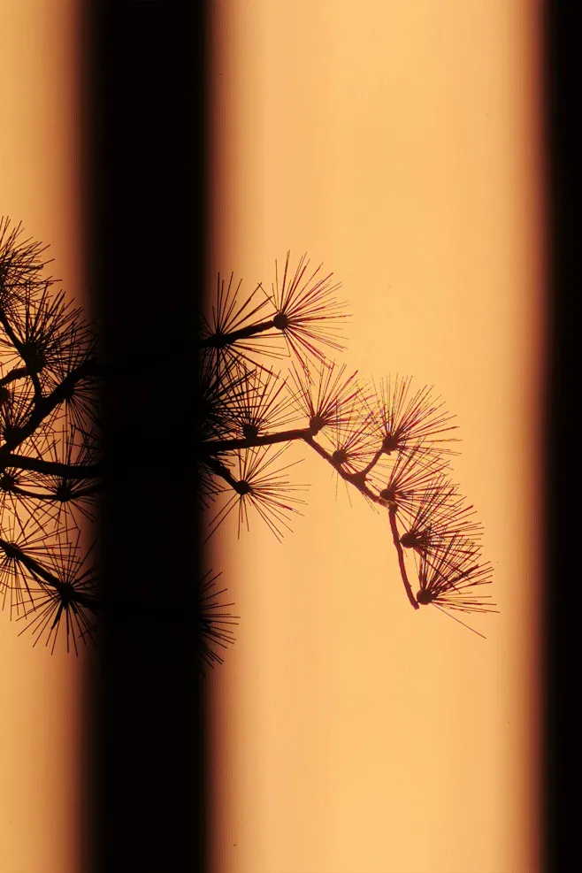 (939) Pinterest-花瓣网