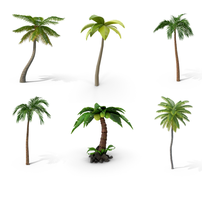 3d_palm_tree-花瓣网