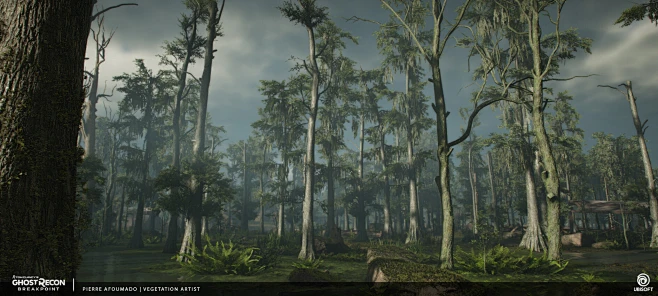 Ghost Recon Breakpoint Bald Cypress Trees, Pierre Afoumado : Here is ...