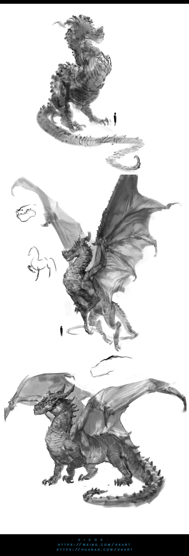 【小K原创作品】 〖龙草图〗 个人微博：http://weibo.com/kkart-花瓣网