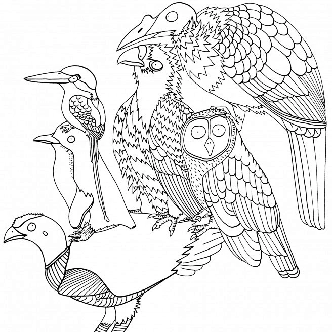 Mimi Leung — The Jacky Winter Group-花瓣网