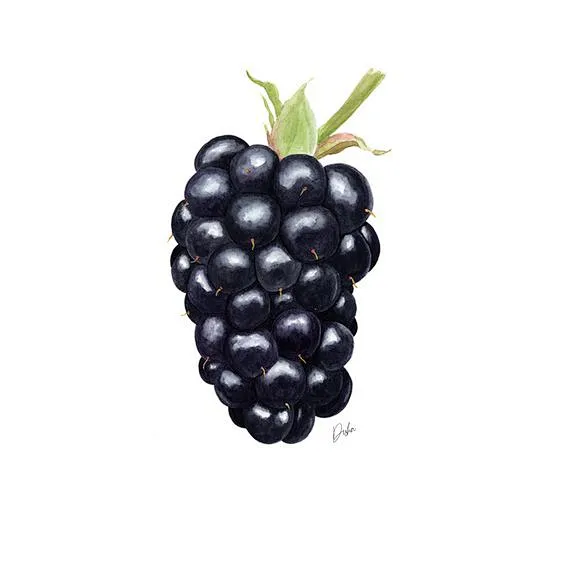 (166) Pinterest-花瓣网