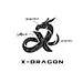 其中包括图片：X - Dragon Logo Design-花瓣网