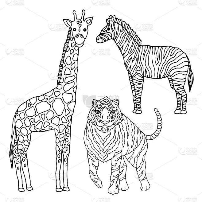 set wildlife animal giraffe tiger zebra vector ill素材-花瓣网
