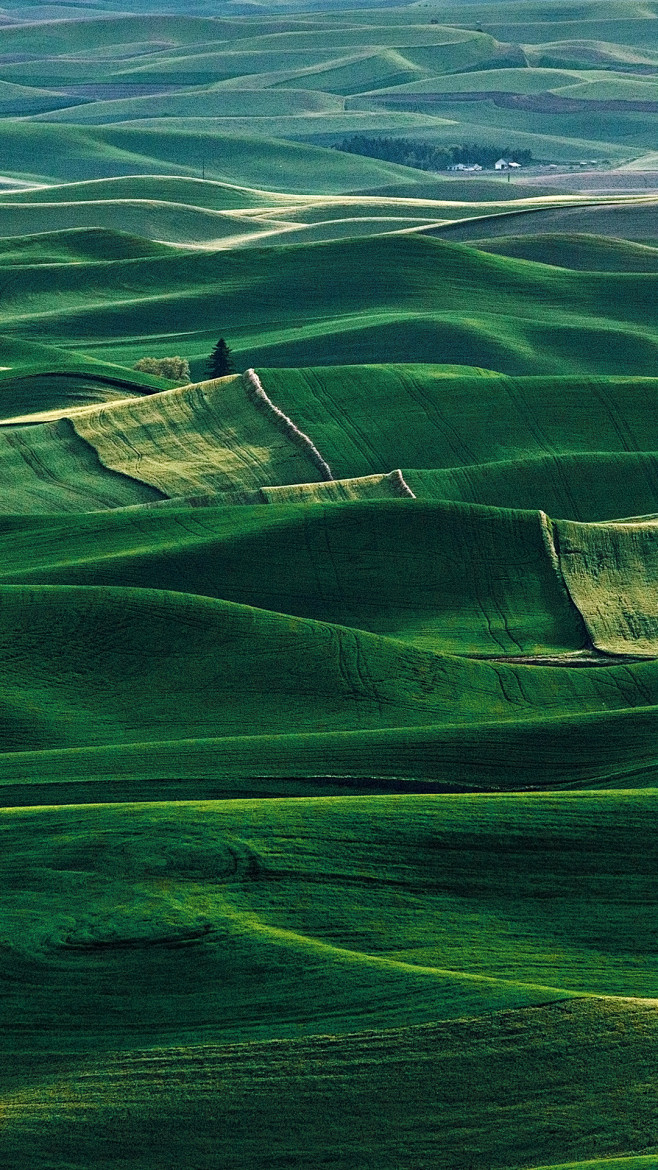 MKY_03363 (1080 x 1920 Wallpaper)