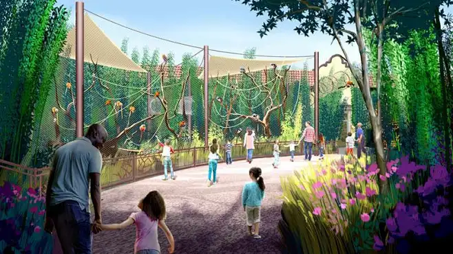 St Louis Zoo debuts plans for innovative primate habitat : Primate ...