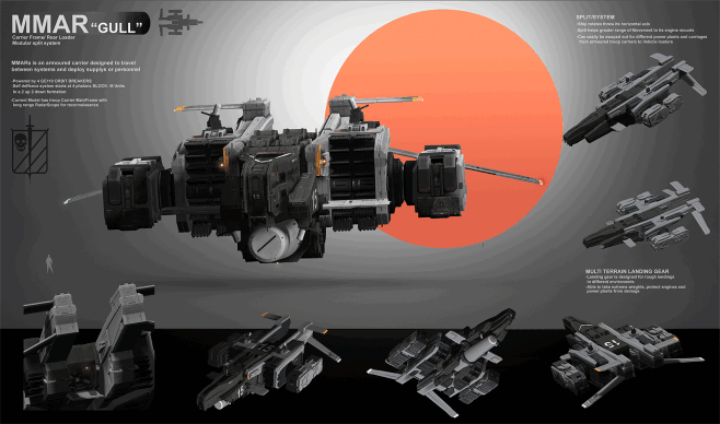 Gull by StTheo-花瓣网